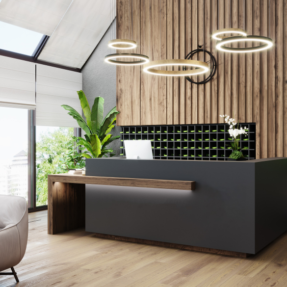 BIM Revit Collection | Reception, Lobby & Foyer