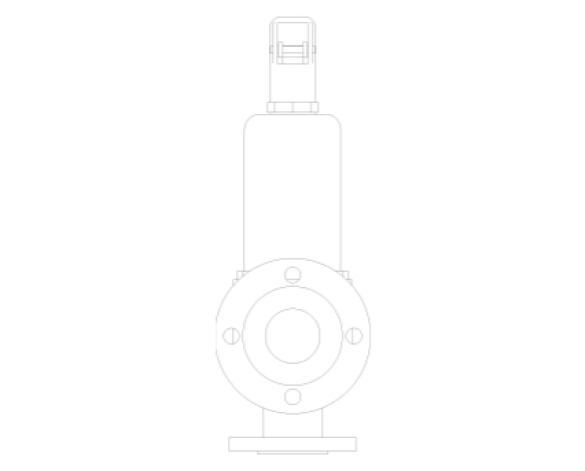 SV607 Safety Valve | Bimstore
