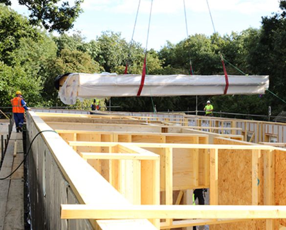Flat Roof Systems | Bimstore